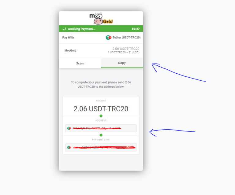 Step-by-Step Guide: Buying on MooGold with USDT TRC20 - MooGold